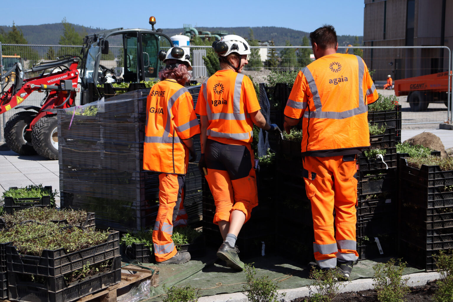 Agaia AS | Vi skaper vakre, varige og levende uterom